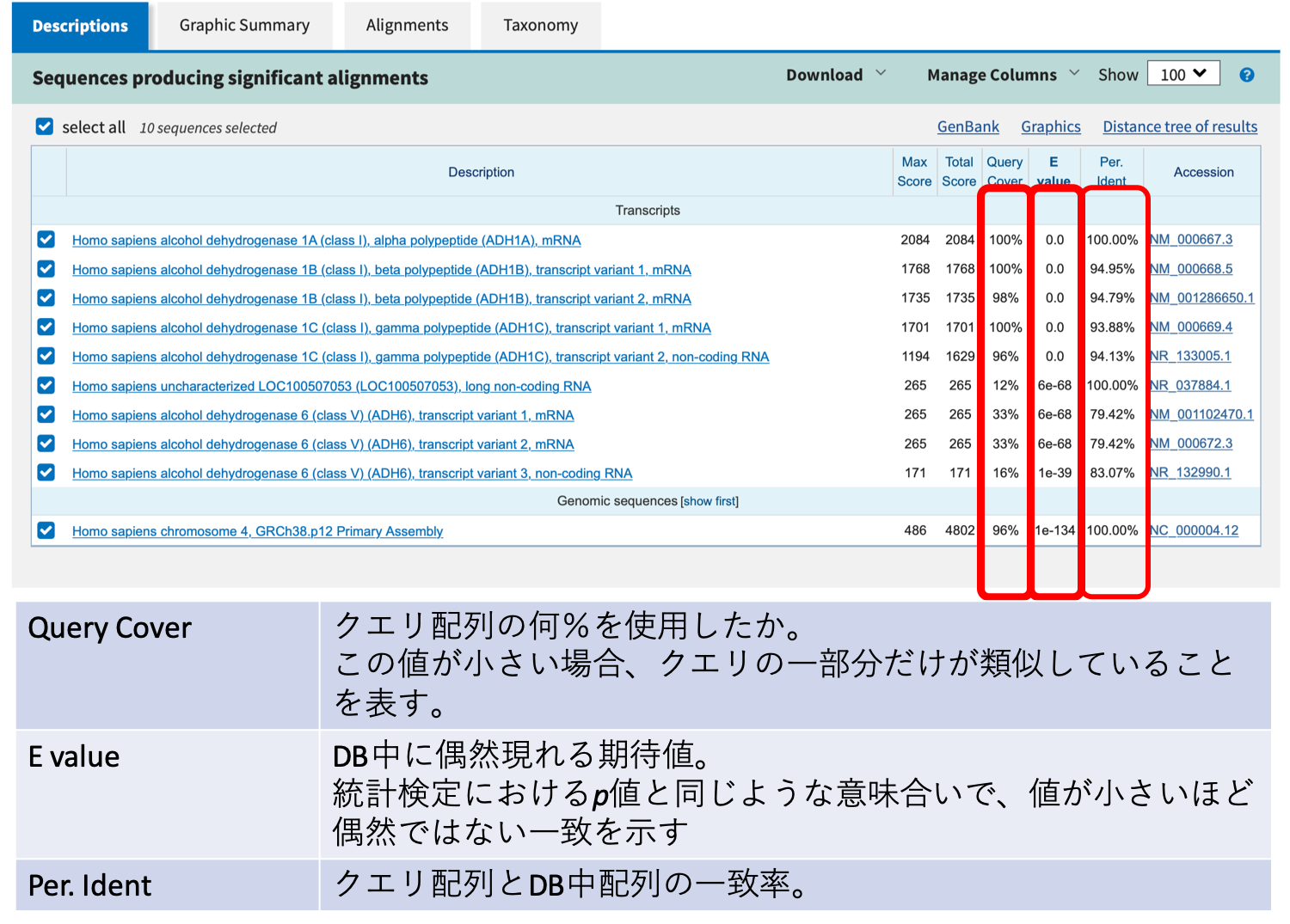 BLASTのつかいかた（Web版とローカル版） - バイオとインフォまとめ